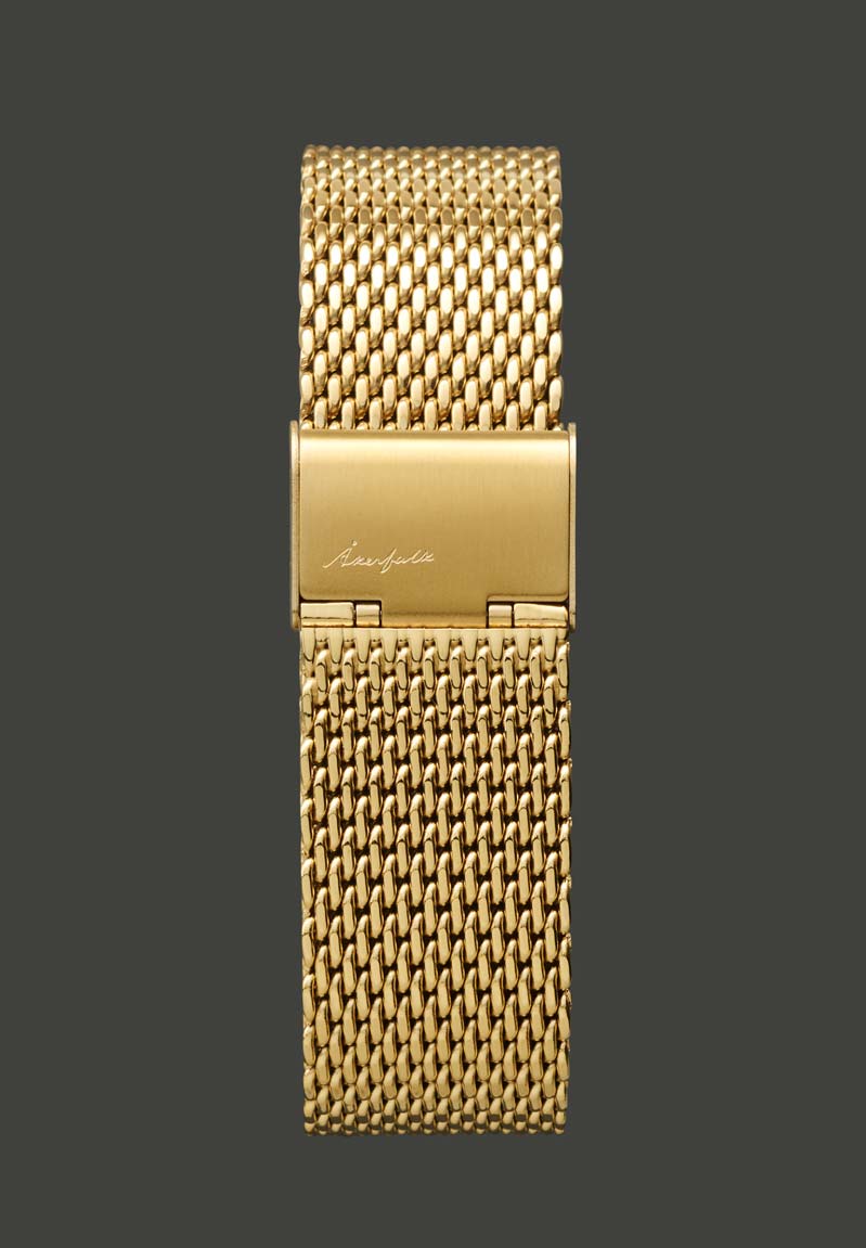 Metal mesh strap